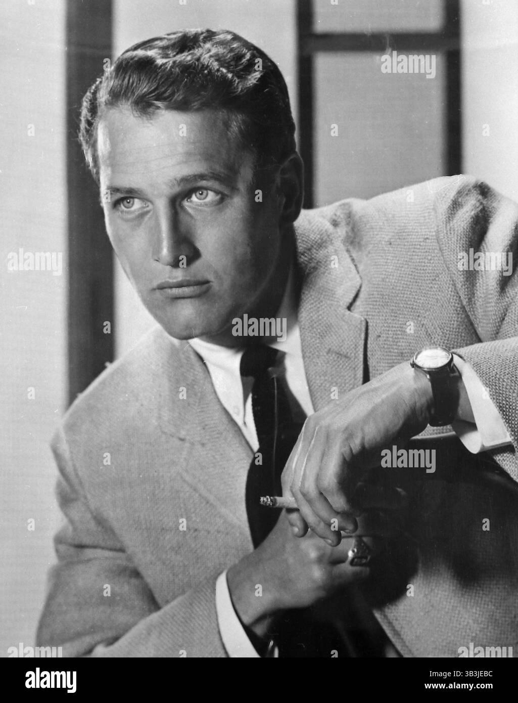 American actor Paul Newman, 1950s Stock Photo - Alamy