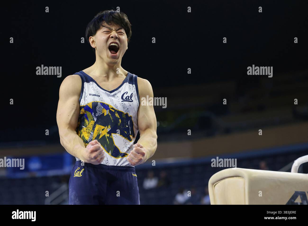 ANN ARBOR, MI - APRIL 18: California gymnast Tyler Shimizu celebrates ...