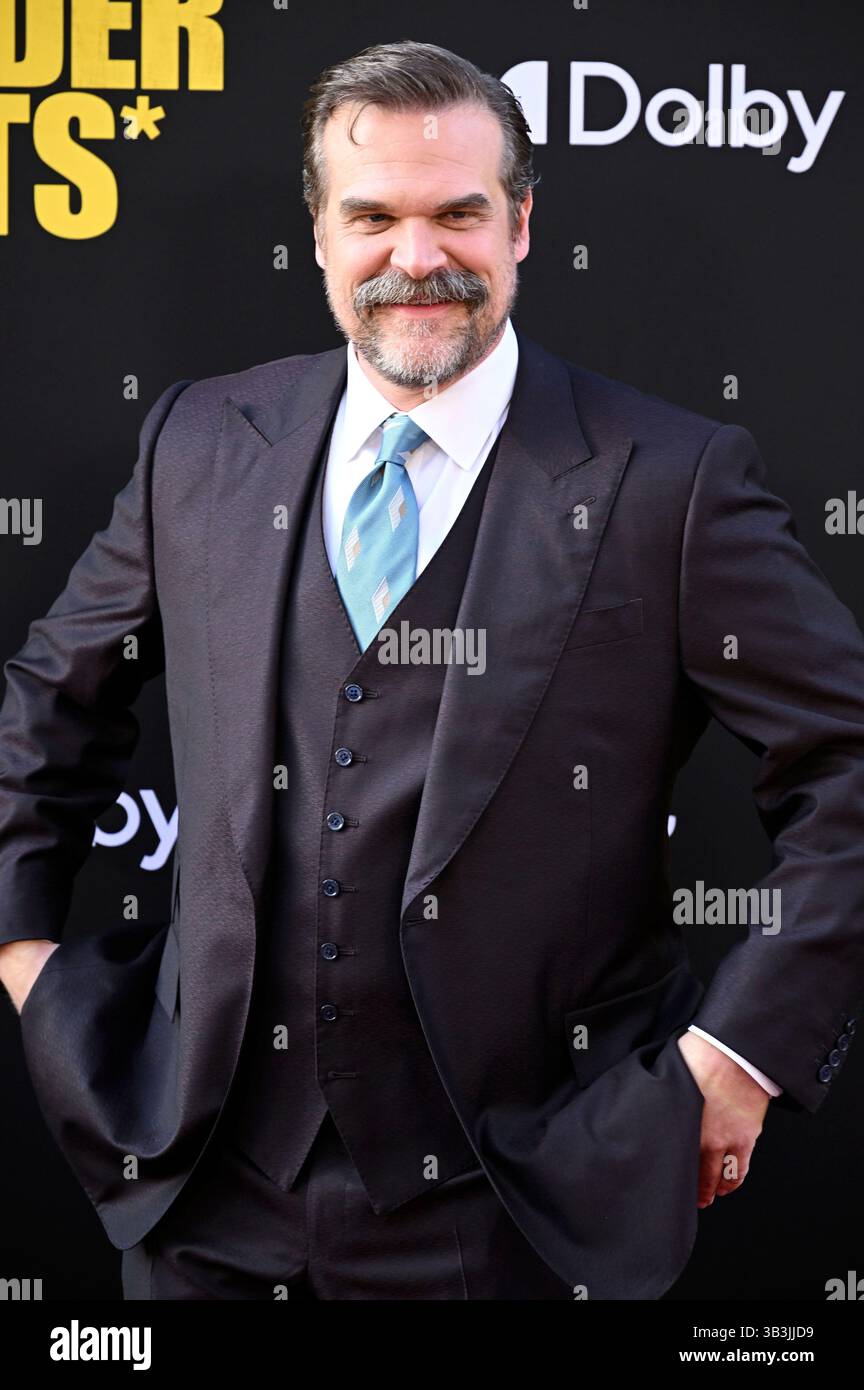 David Harbour bei der Weltpremiere des Kinofilms 'Thunderbolts' im ...