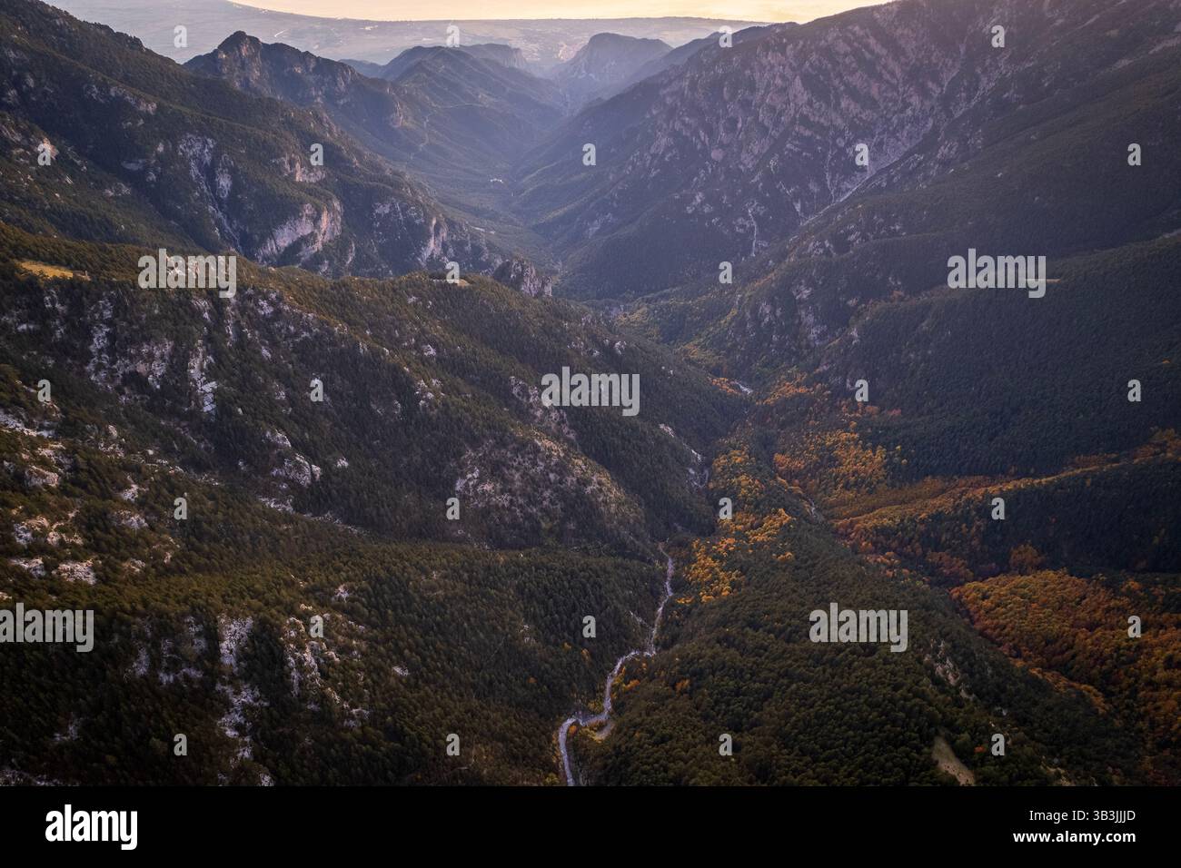 Inside the forest mountain Olympus Greece Stock Photo - Alamy