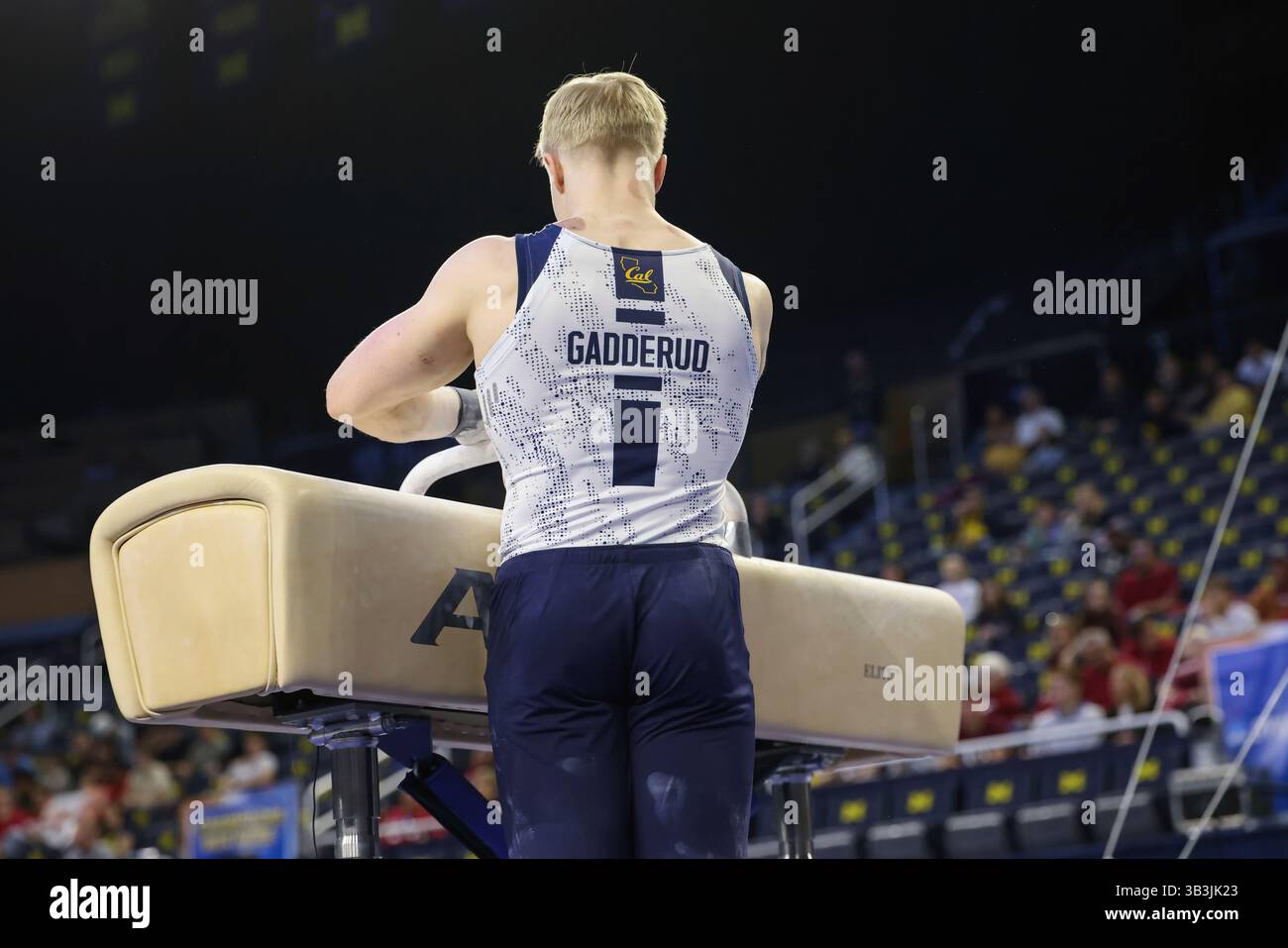 ANN ARBOR, MI - APRIL 18: California gymnast Theodore Roald Gadderud ...