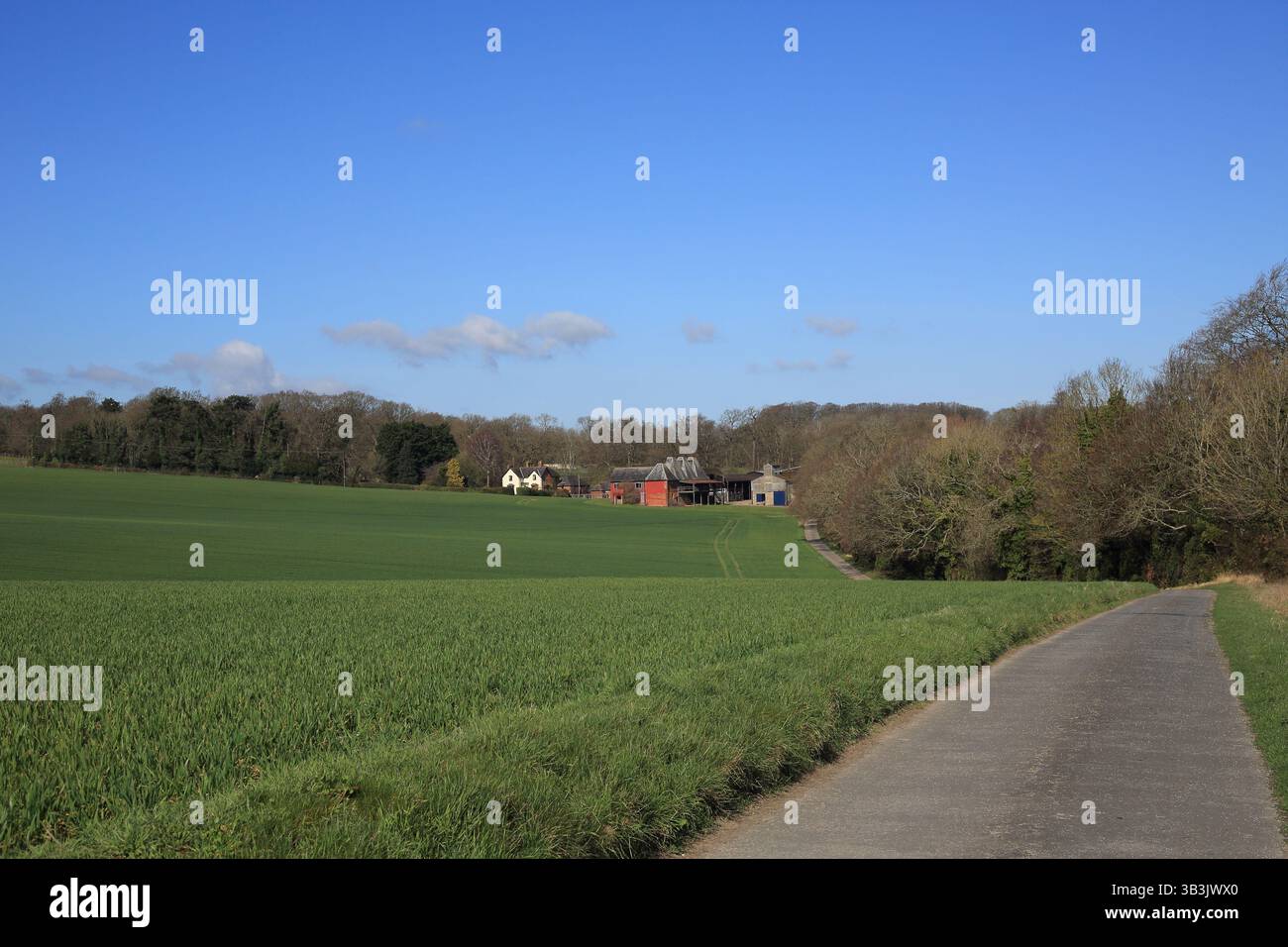 Lenhall farm hi-res stock photography and images - Alamy