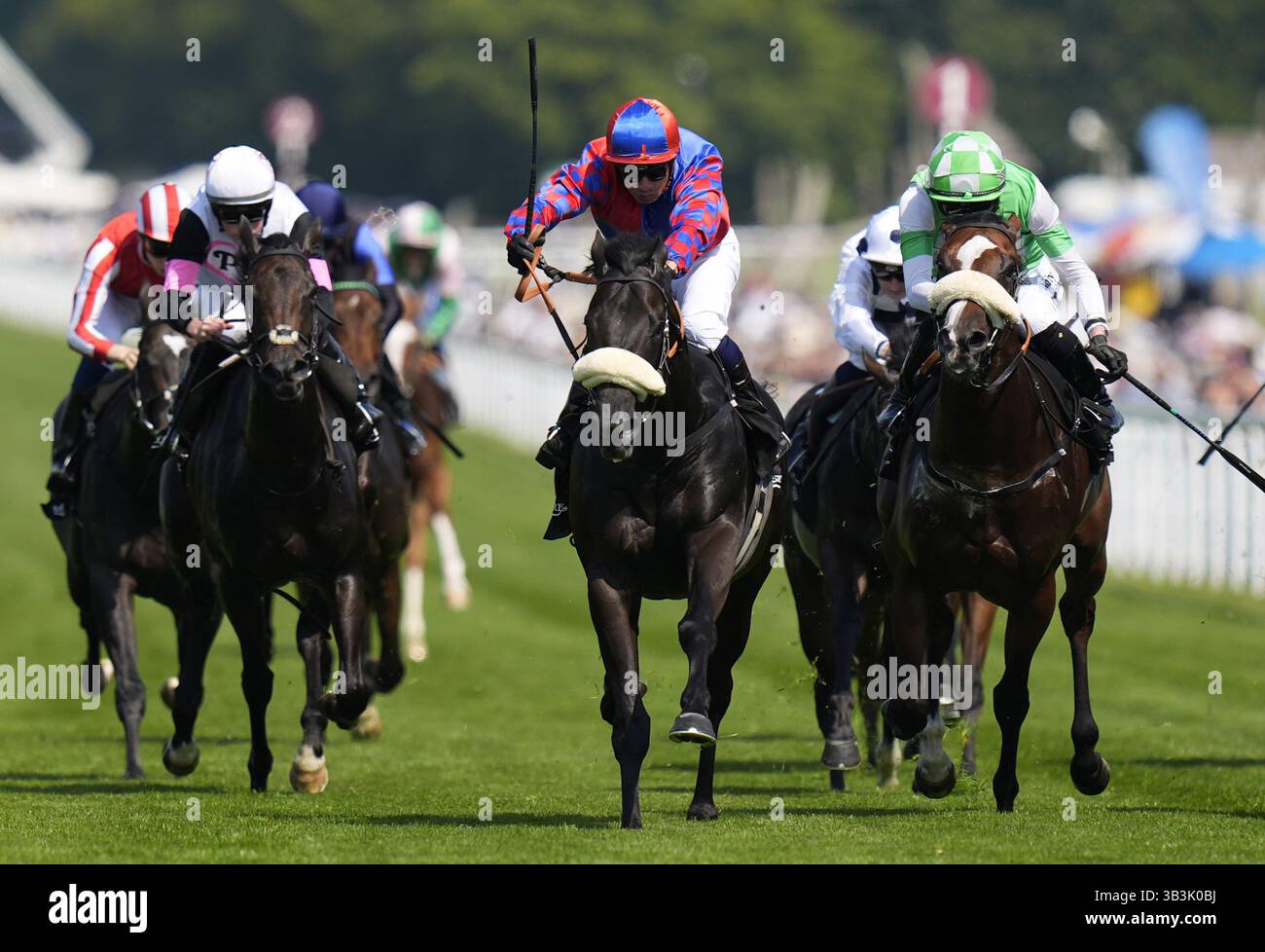 File photo dated 31-07-2024 of Big Mojo. Mick Appleby is eager to see ...