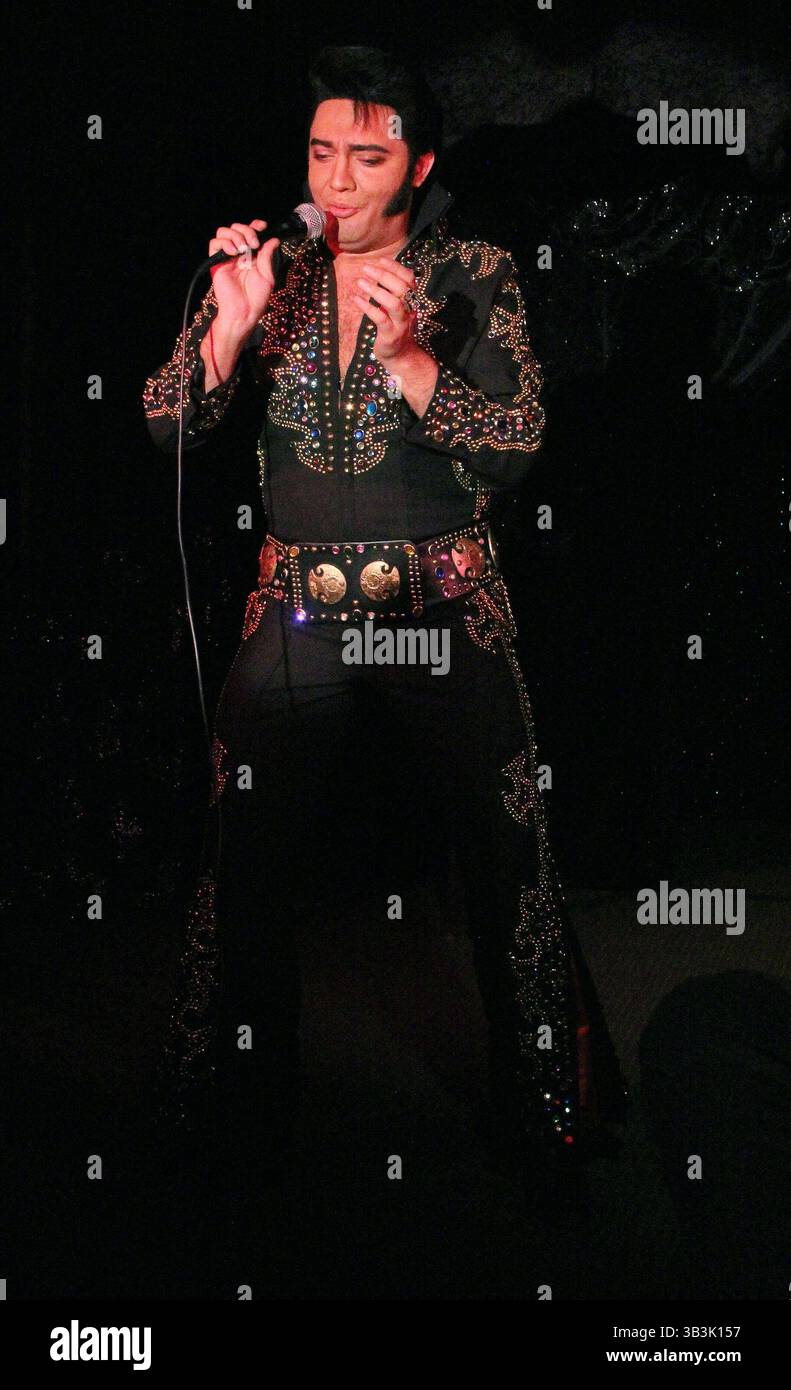 A new show called '' An Intimate Night With Elvis,'' staring JUSTIN ...