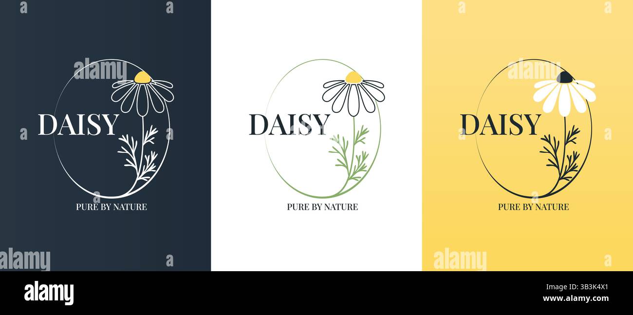 Vector logo of chamomile flower. Modern hand drawn vector daisy icons ...