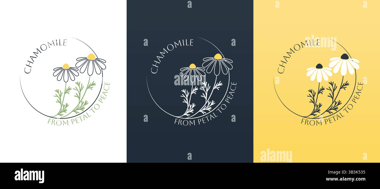 Vector logo of chamomile flower. Modern hand drawn vector daisy icons ...