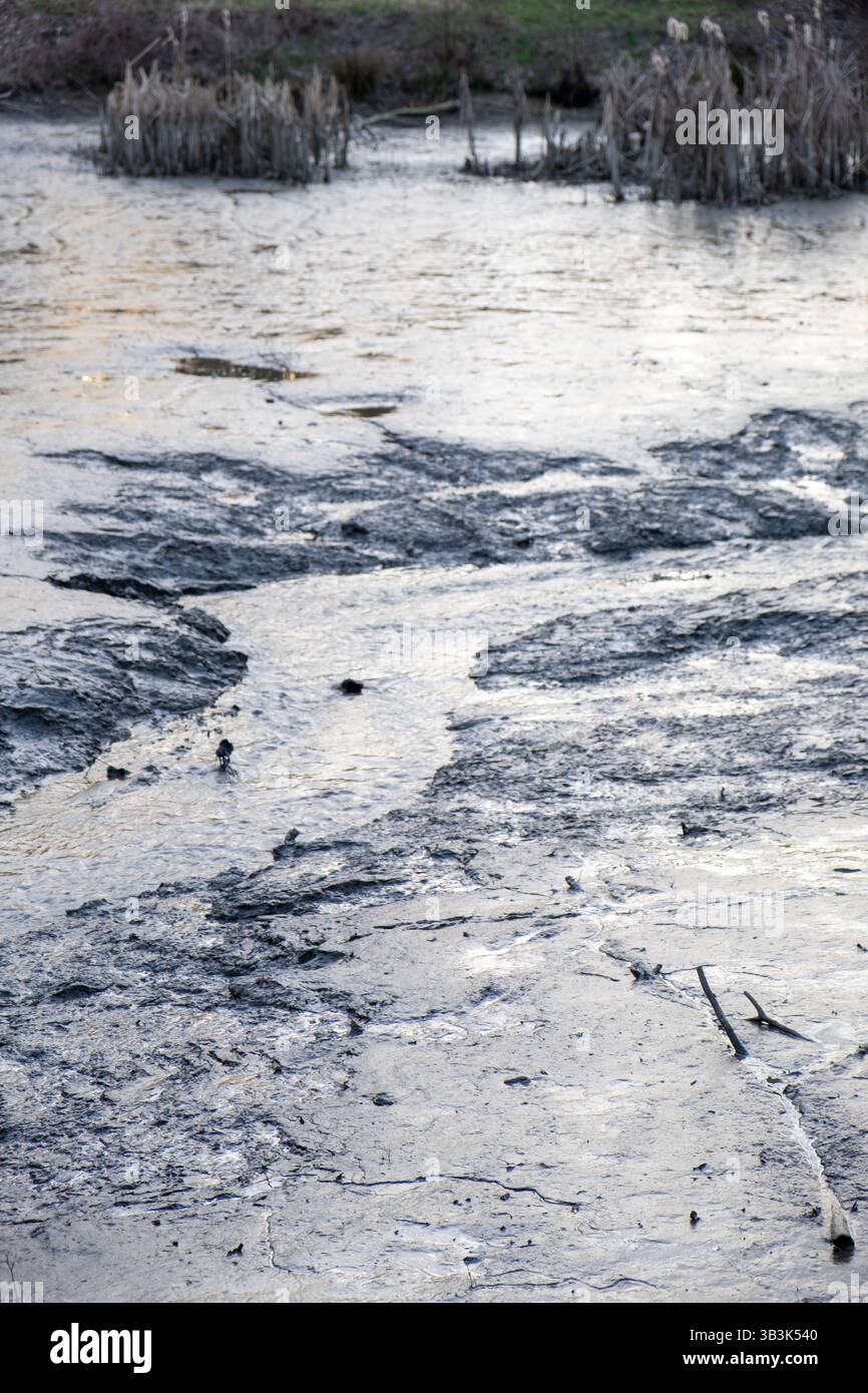 Drained pond with muddy stream and concrete sluice Stock Photo - Alamy