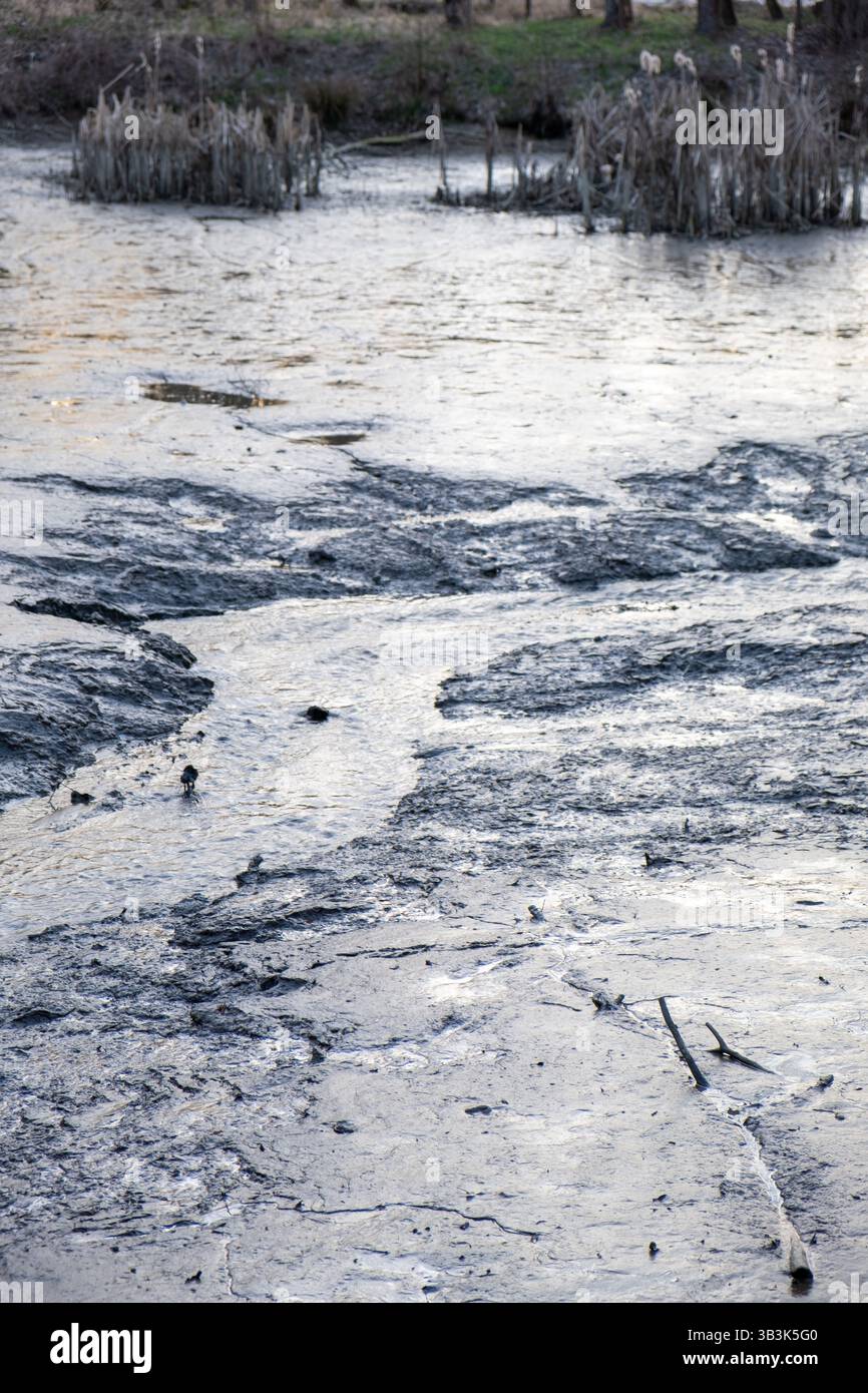 Drainage stream flowing through dried pond Stock Photo - Alamy