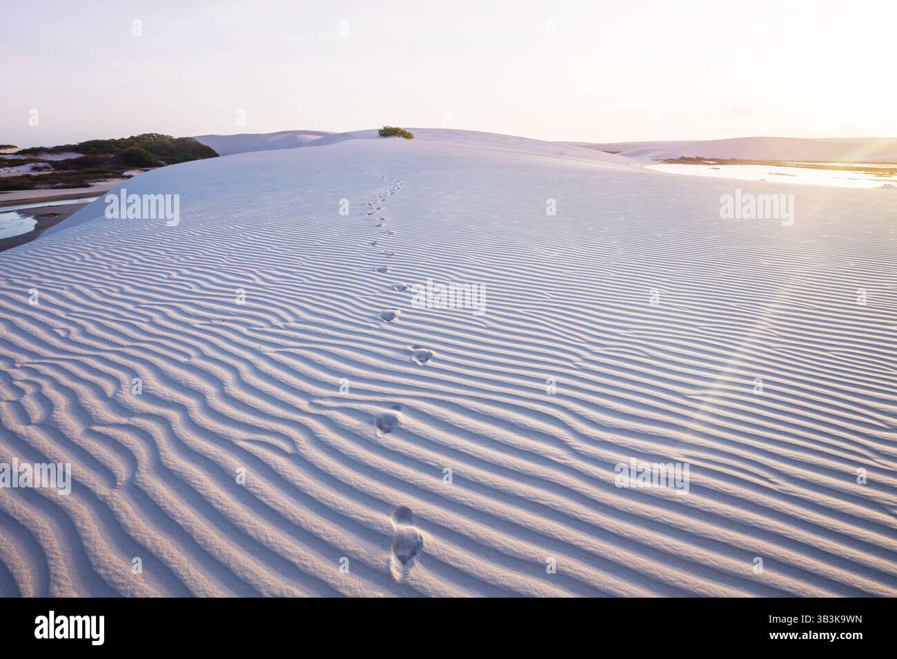 Lagoons in the desert of Lencois Maranhenses National Park, Brazil ...