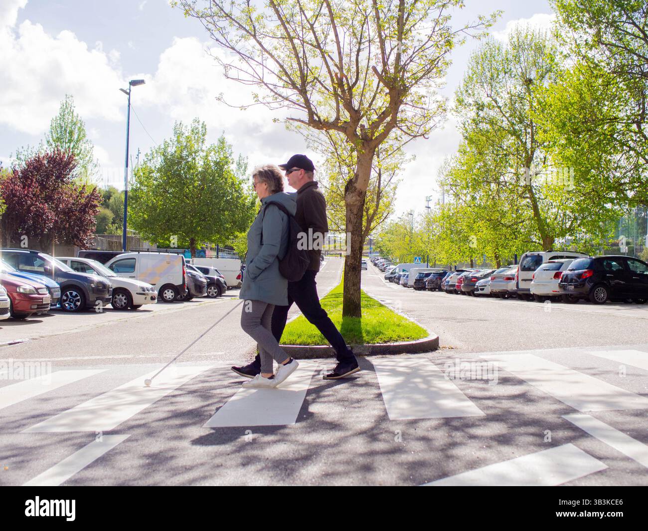 side view of a sightless man walking on the zebra crossing using his ...