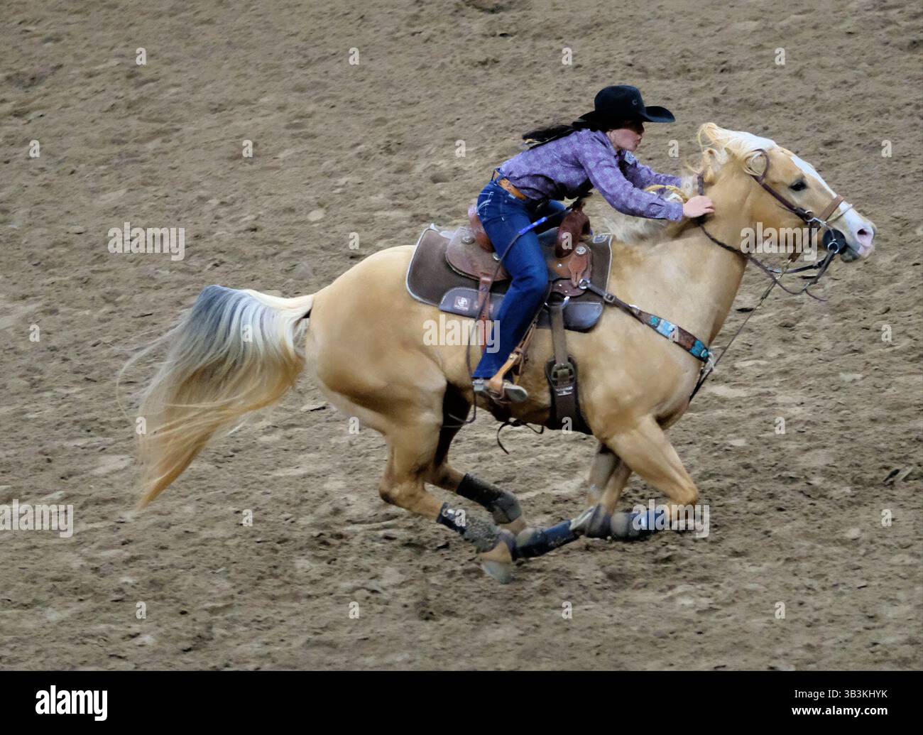 Hailey kinsel hi-res stock photography and images - Alamy