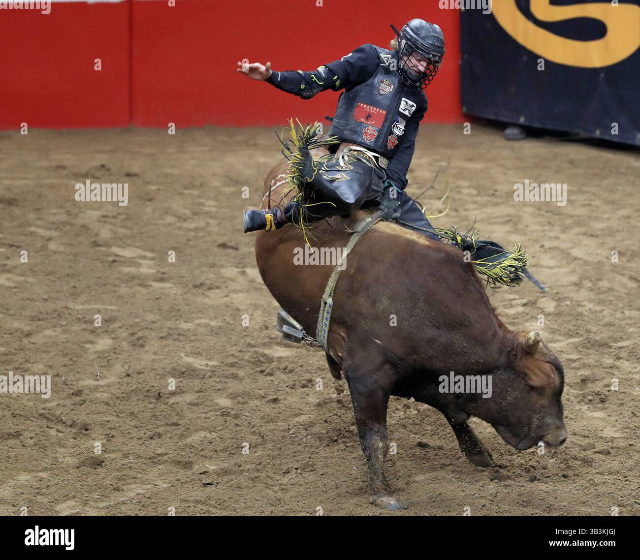 Breding stock hi-res stock photography and images - Alamy