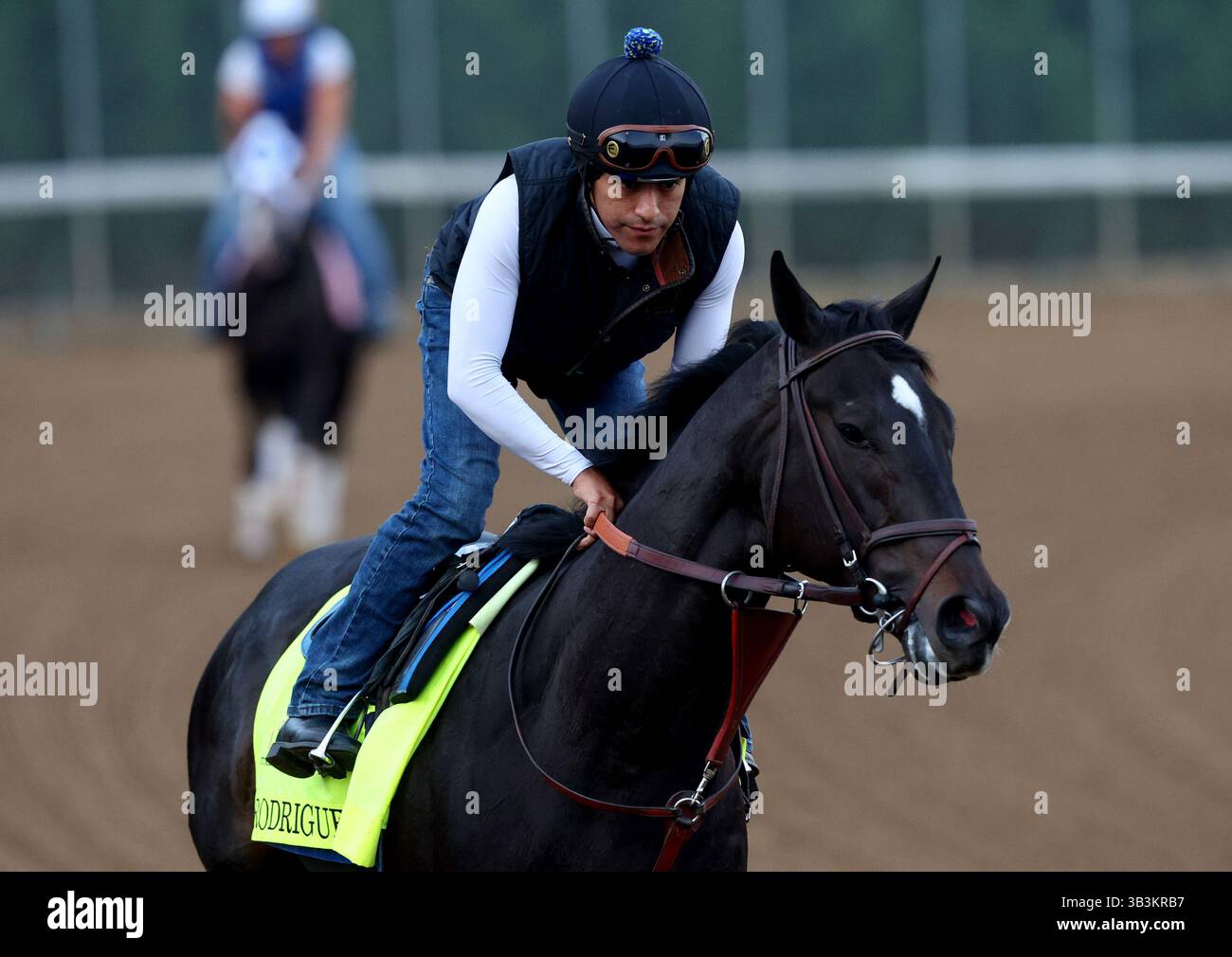 Louisville, United States. 29th Apr, 2025. Kentucky Derby hopeful ...