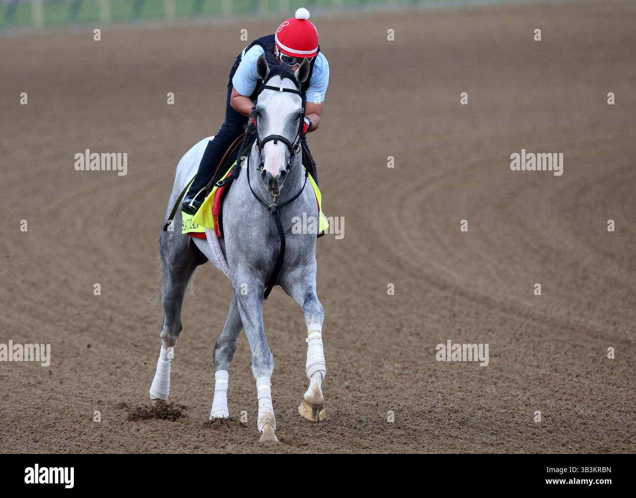 Louisville, United States. 29th Apr, 2025. Kentucky Derby hopeful ...