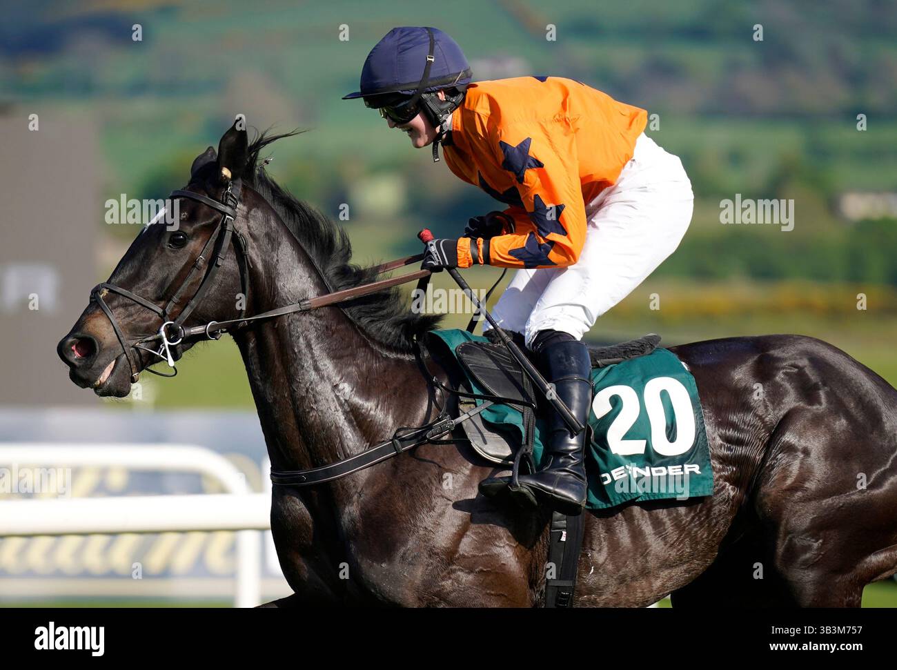 Wonderful Everyday ridden by Ruth Dudfield on their way to winning the ...