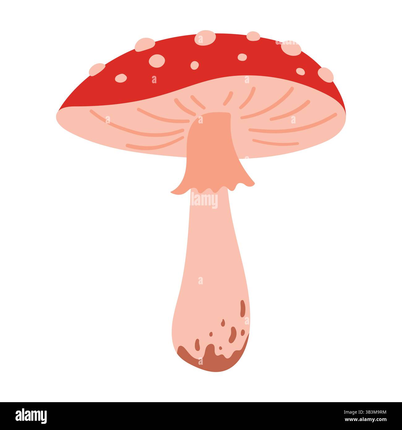 Fly agaric fungus on Stock Vector Images - Alamy
