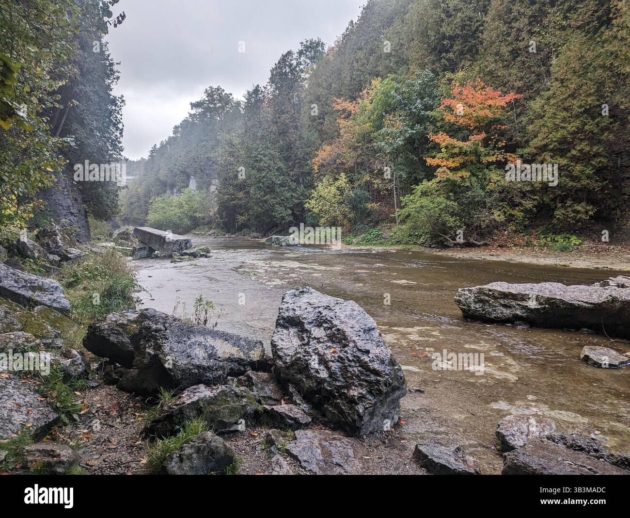Scattered rocky riverbed landscape hi-res stock photography and images ...