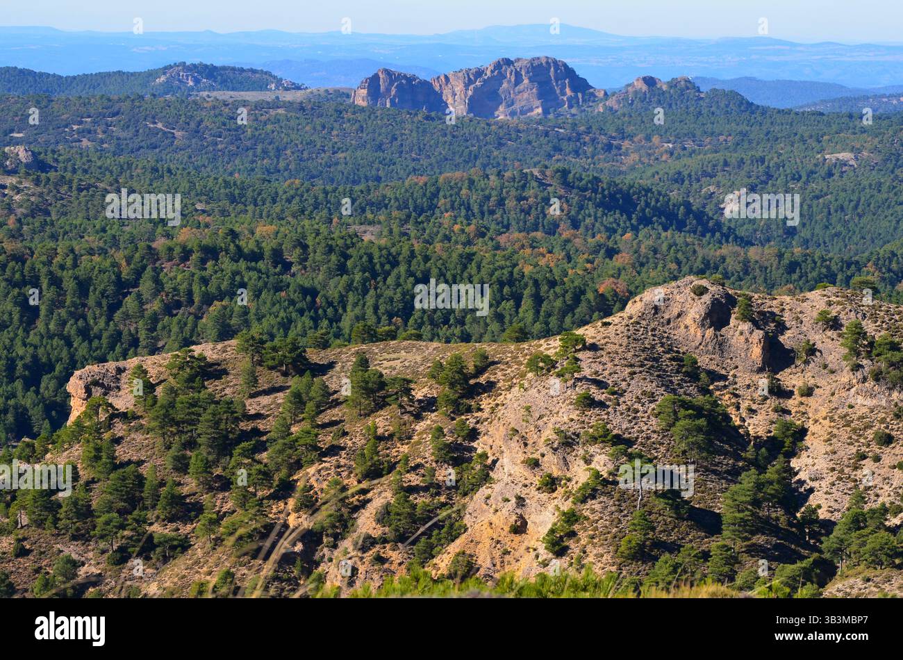 Sierra de Segura in south-eastern Spain, a mosaic of European biomes ...