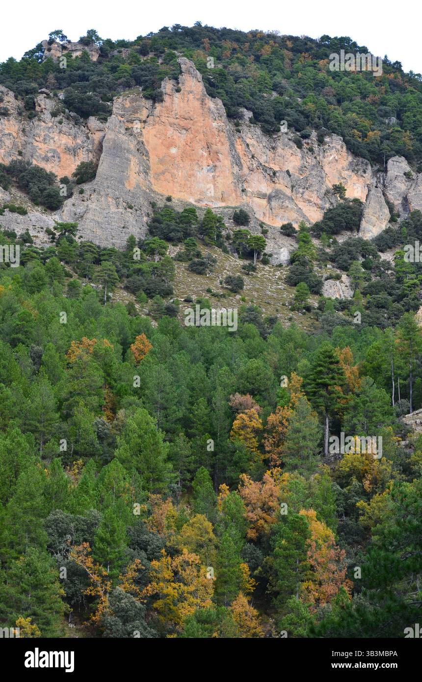 Sierra de Segura in south-eastern Spain, a mosaic of European biomes ...