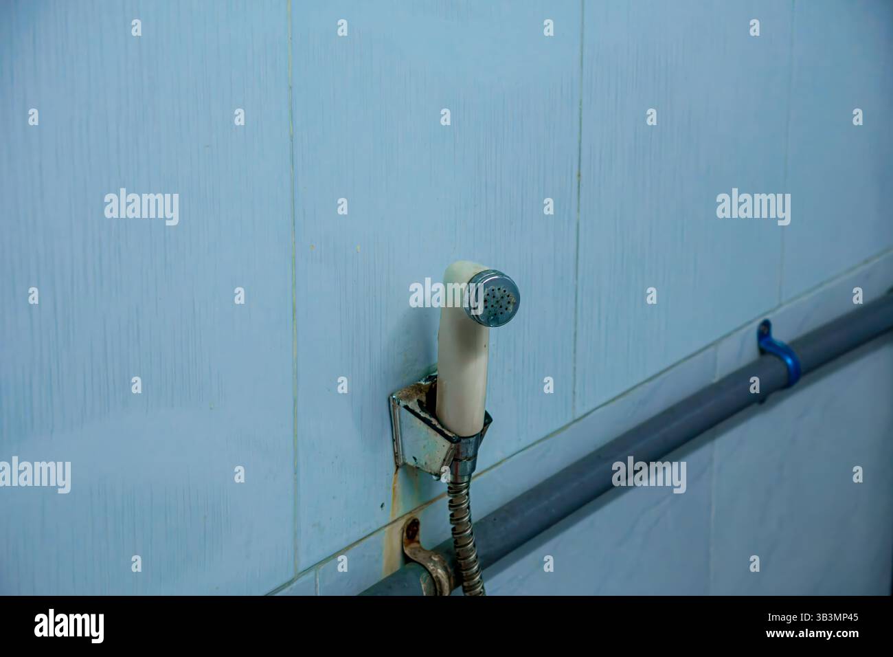 Plastic handheld bidet sprayer on a tiled bathroom wall Stock Photo - Alamy