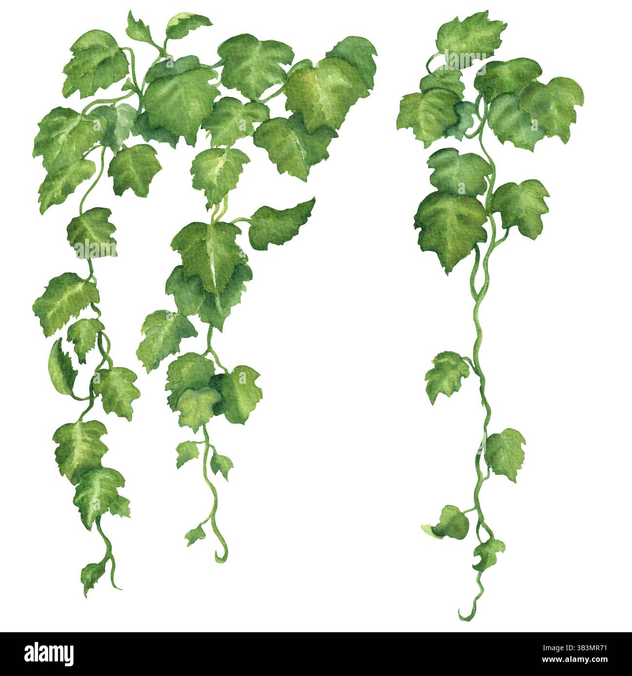 Lush foliage painting hi-res stock photography and images - Alamy