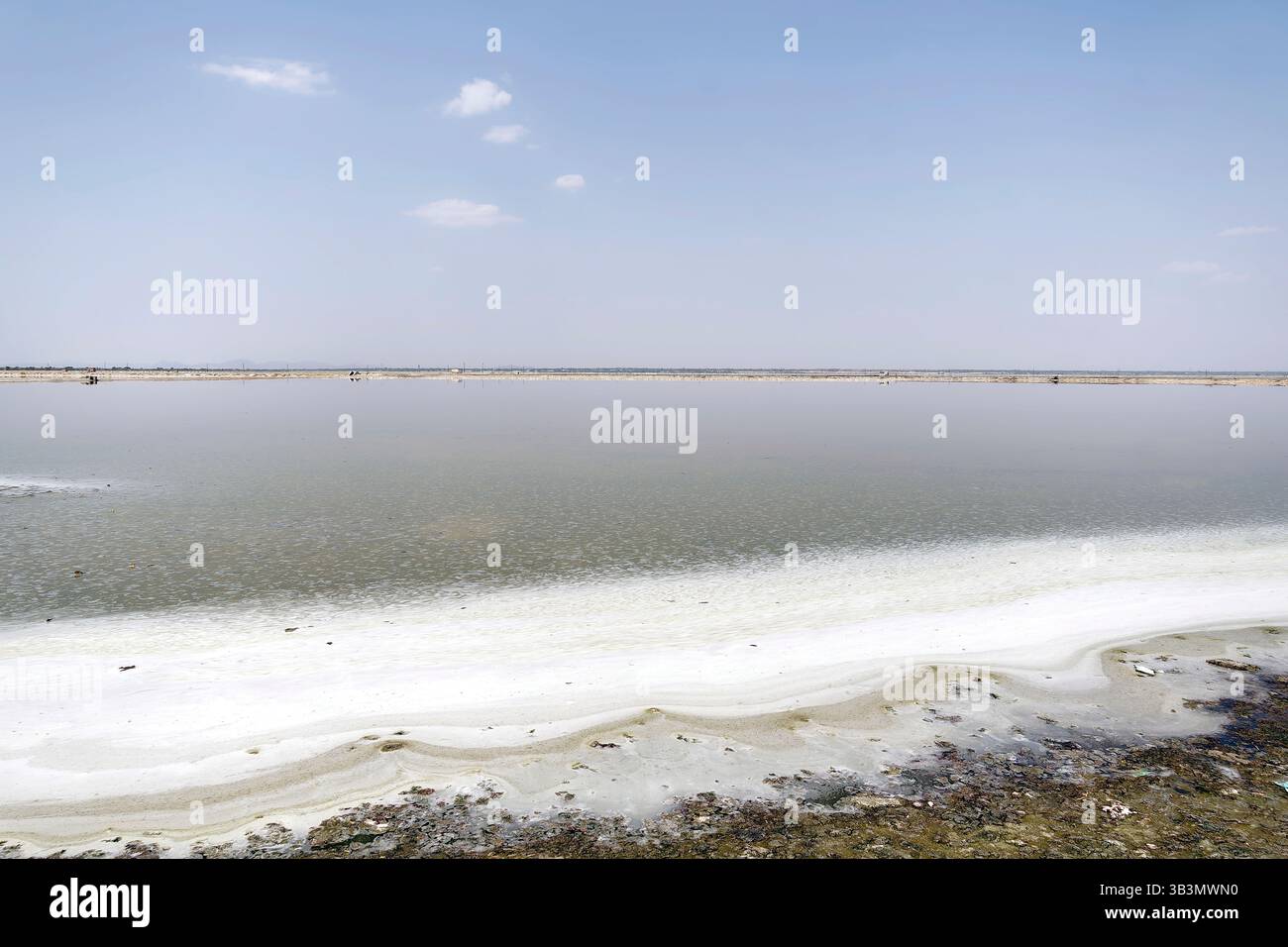 Sambhar Salt Lake, Rajasthan, India, Ramsar Wetland Stock Photo - Alamy
