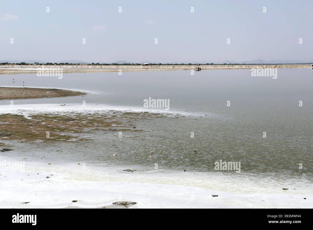 Sambhar Salt Lake, Rajasthan, India, Ramsar Wetland Stock Photo - Alamy