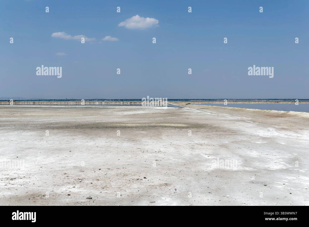 Sambhar Salt Lake, Rajasthan, India, Ramsar Wetland Stock Photo - Alamy