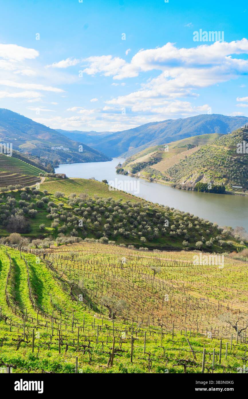 Douro wine region fog portugal hi-res stock photography and images - Alamy