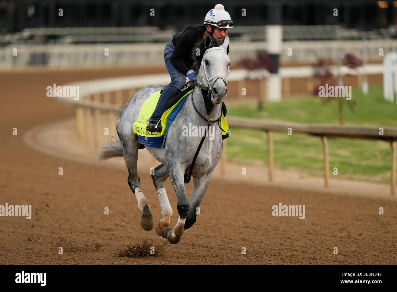 Kentucky Derby entrant Final Gambit works out at Churchill Downs ...