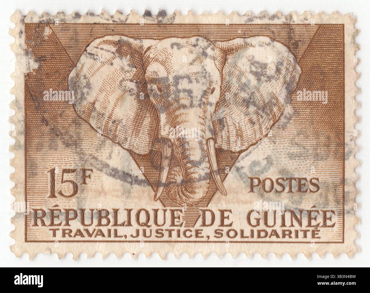 Elephants by west african rainforest hi-res stock photography and ...