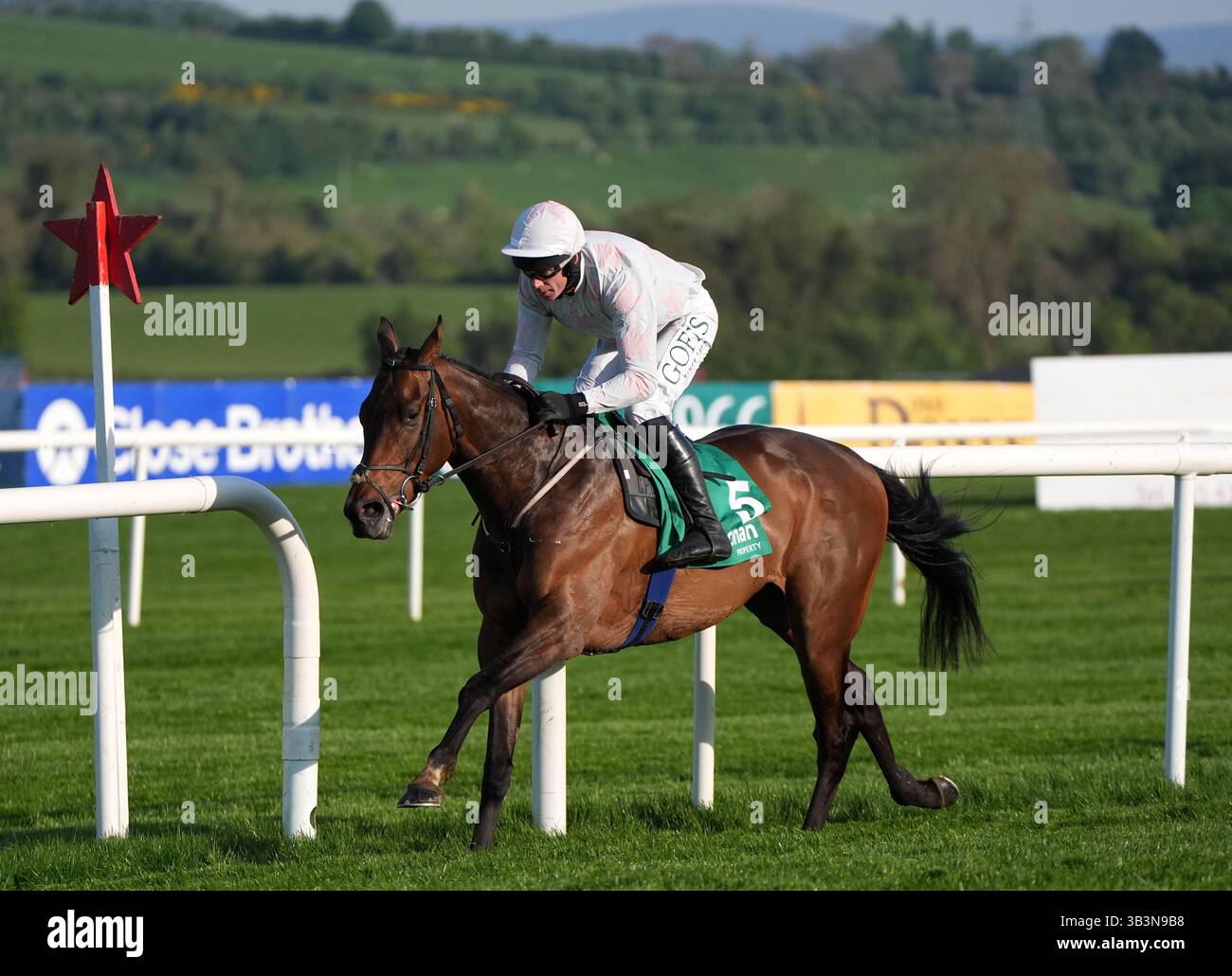 Bud Fox ridden by Derek O'Connor on their way to winning the Willie ...