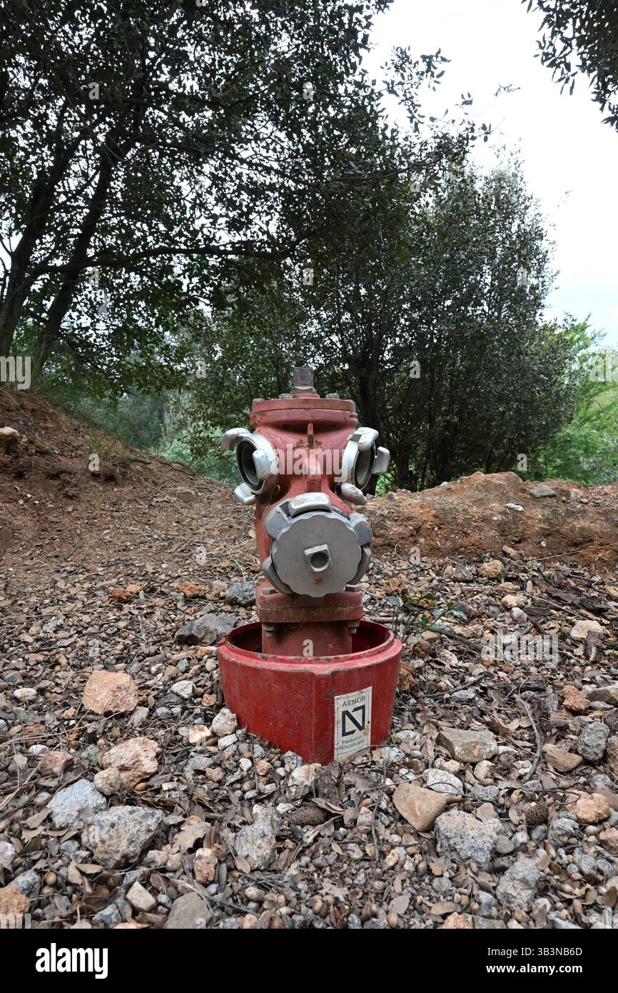 Red fire hydrant placed in a rural forest path, part of emergency ...