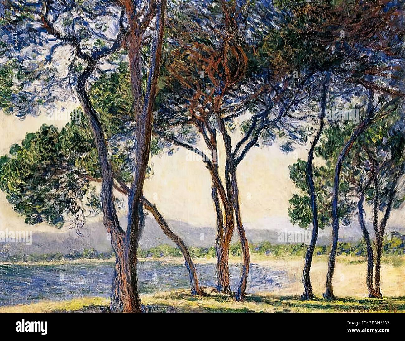 Claude Oscar Monet – Trees by the Seashore at Antibes 1888 Stock Photo ...