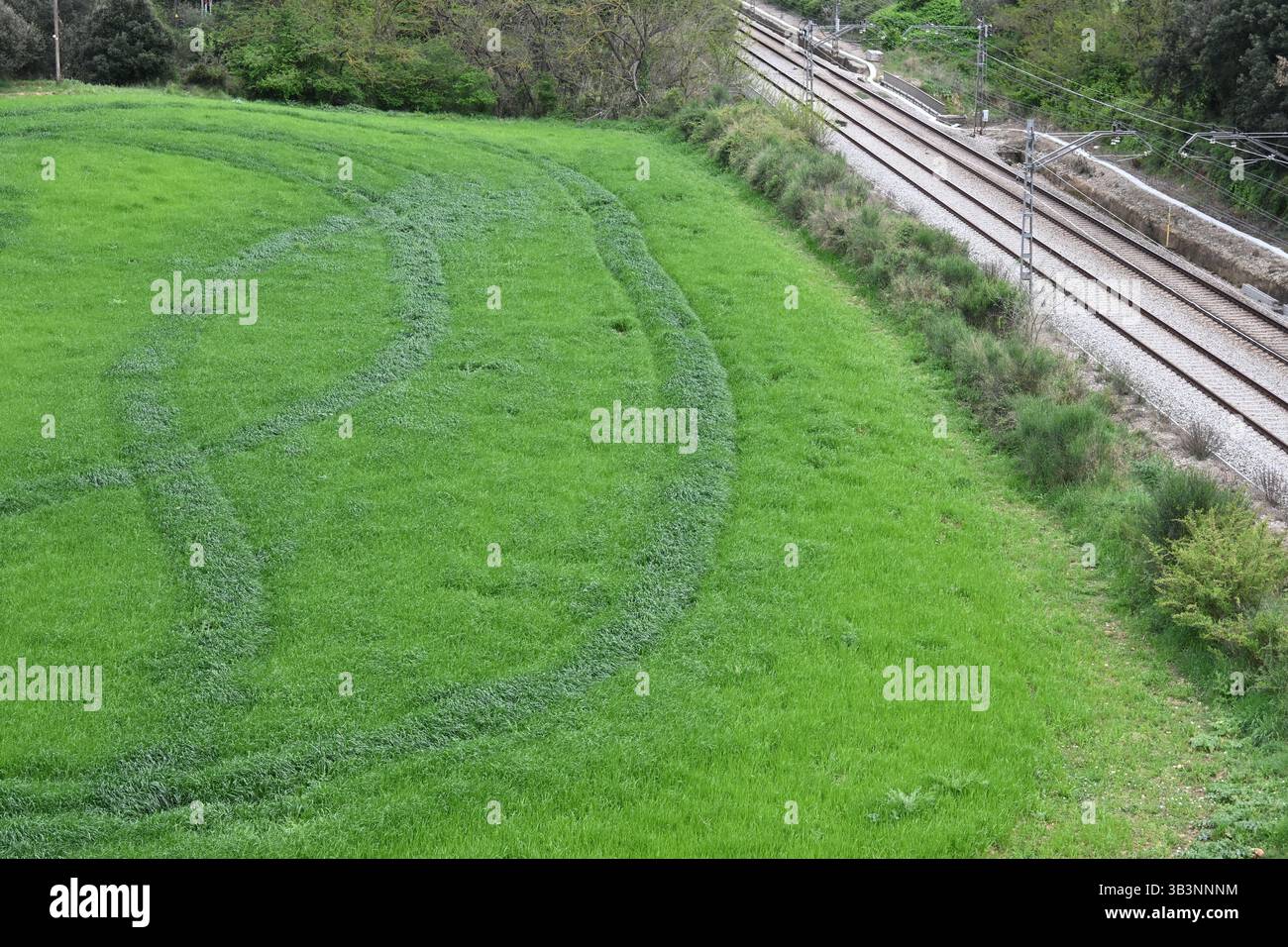 Green agricultural field with curved vehicle tracks next to train rails ...