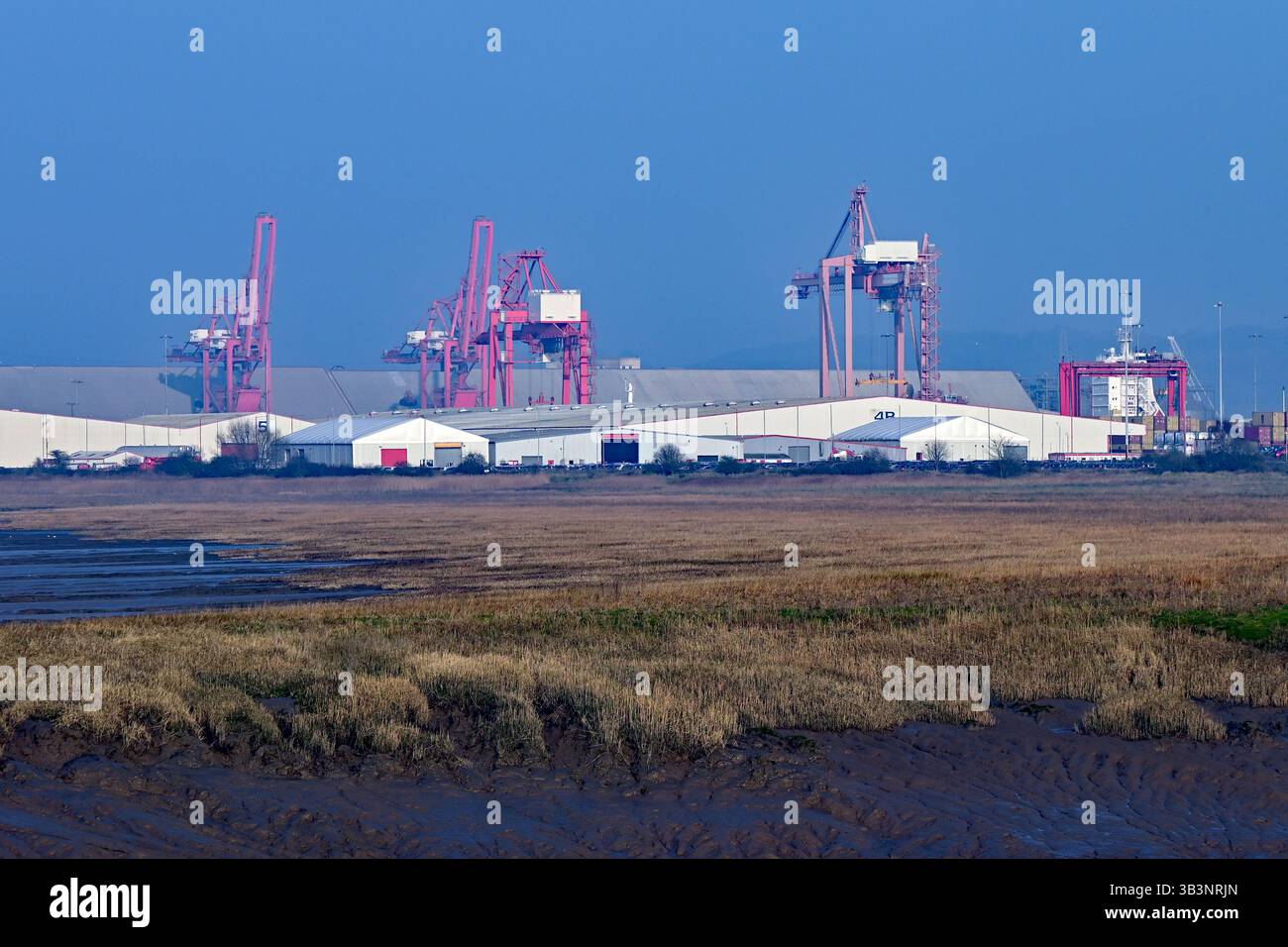 Royal Portbury Working Docks in England. Picture Credit Robert Timoney ...