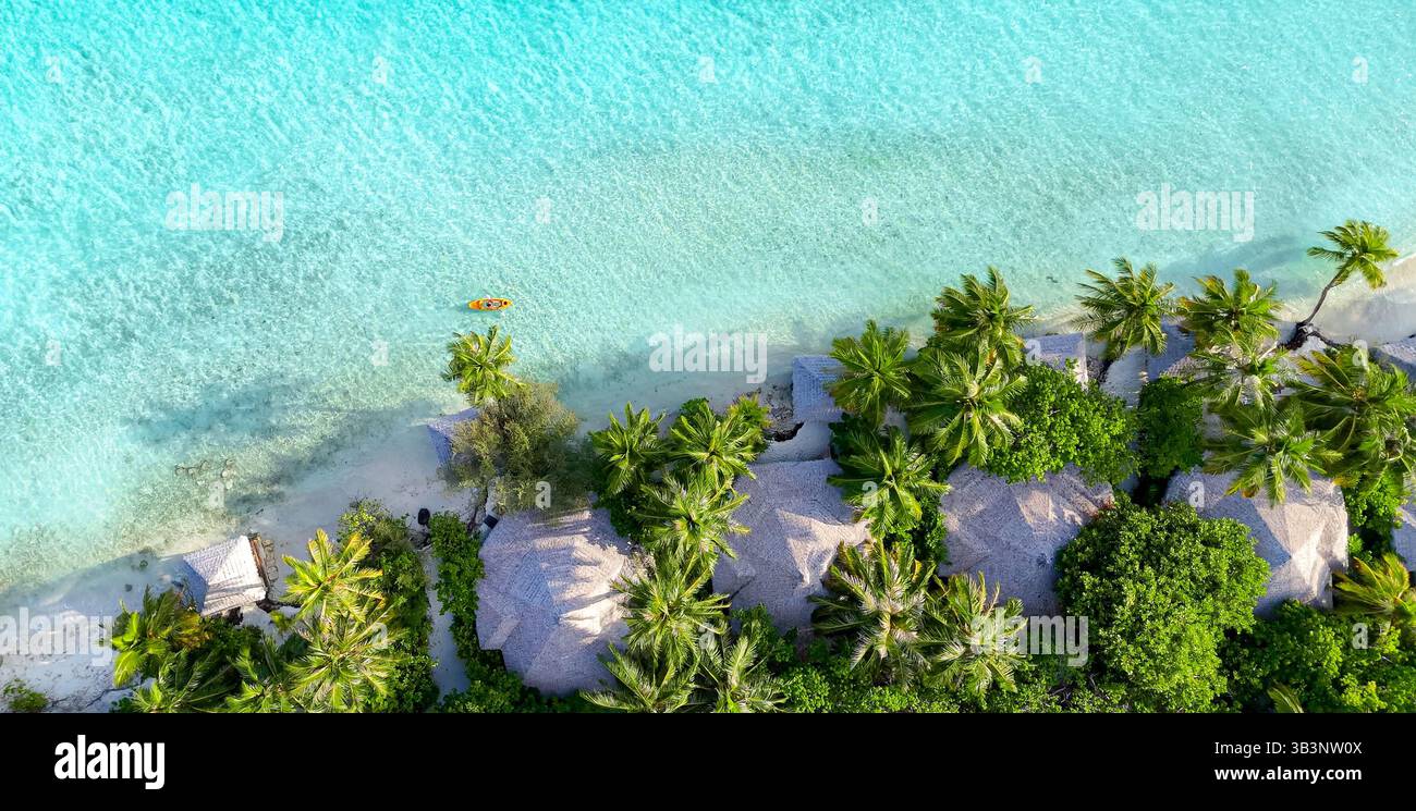 Aerial view of luxury tropical resort with villas and pools hidden in lush palm trees by the ...