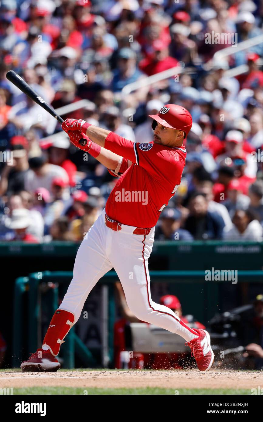 WASHINGTON, DC - APRIL 27: Washington Nationals first baseman Nathaniel ...