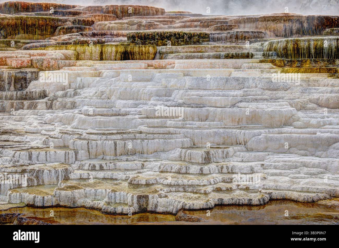 Mammoth Hot Springs Travertine Terraces, Yellowstone National Park ...