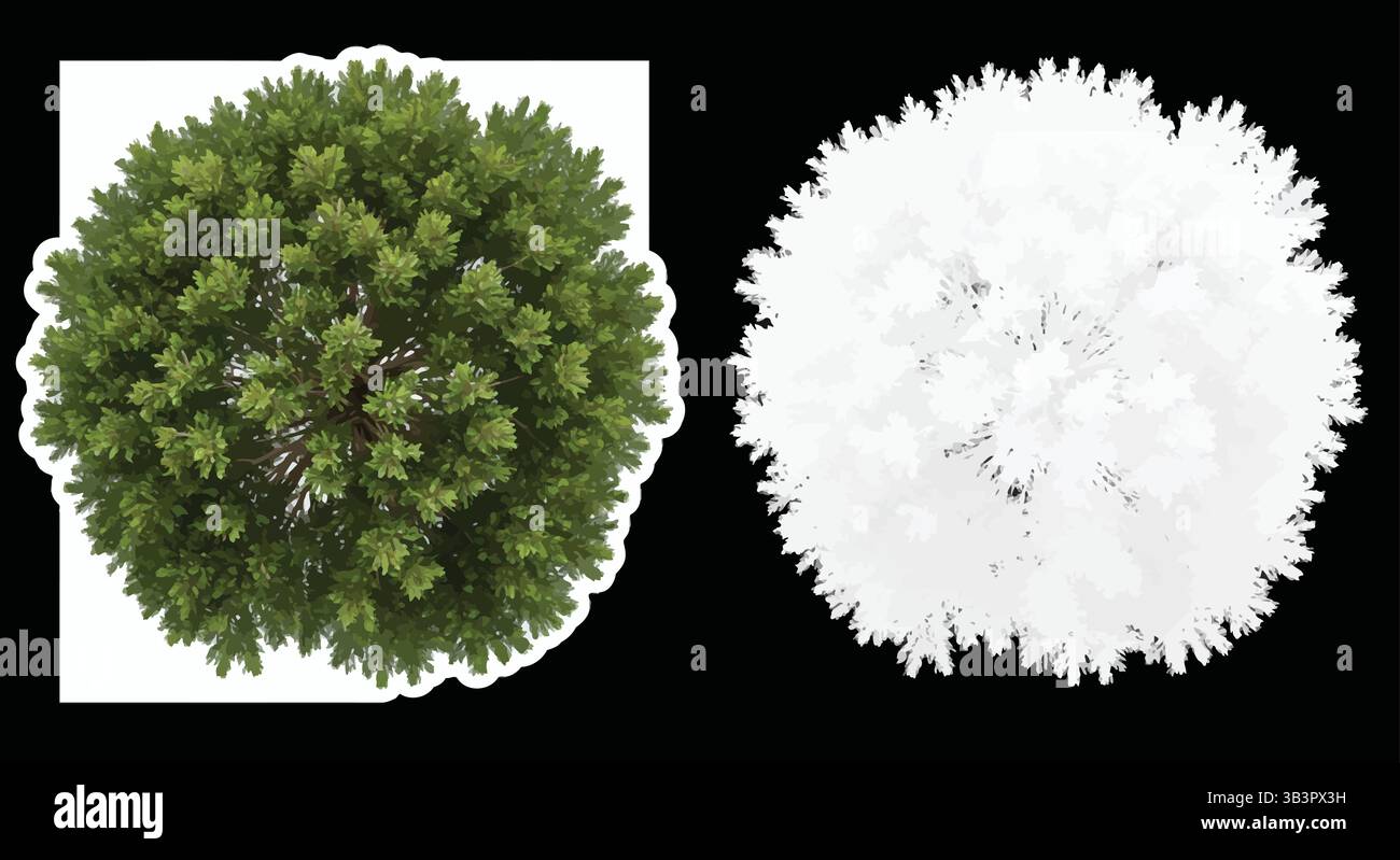 Top down photography Stock Vector Images - Alamy