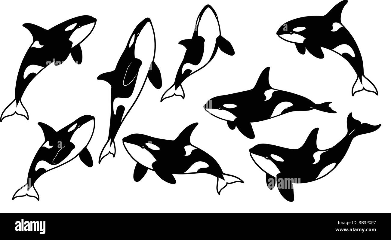 Orca dorsal fin Stock Vector Images - Alamy