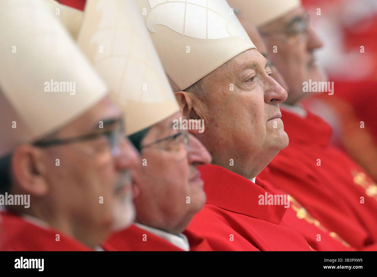 Vatican, Vatican. 29th Apr, 2025. **NO LIBRI** Italy, Rome, Vatican ...