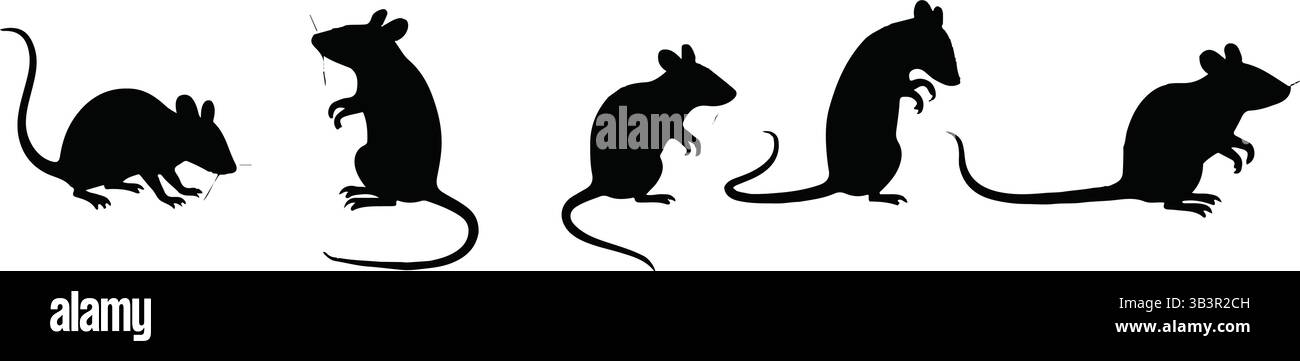 Mouse & Rat Silhouettes Mega Pack - Vector Rodent Shadow Designs for ...