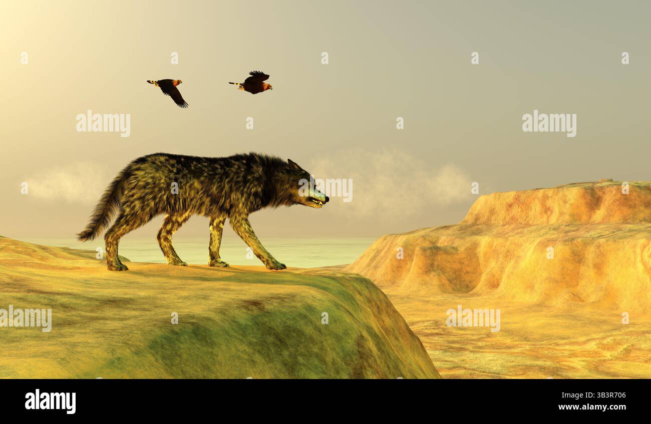 Dire wolf hi-res stock photography and images - Alamy