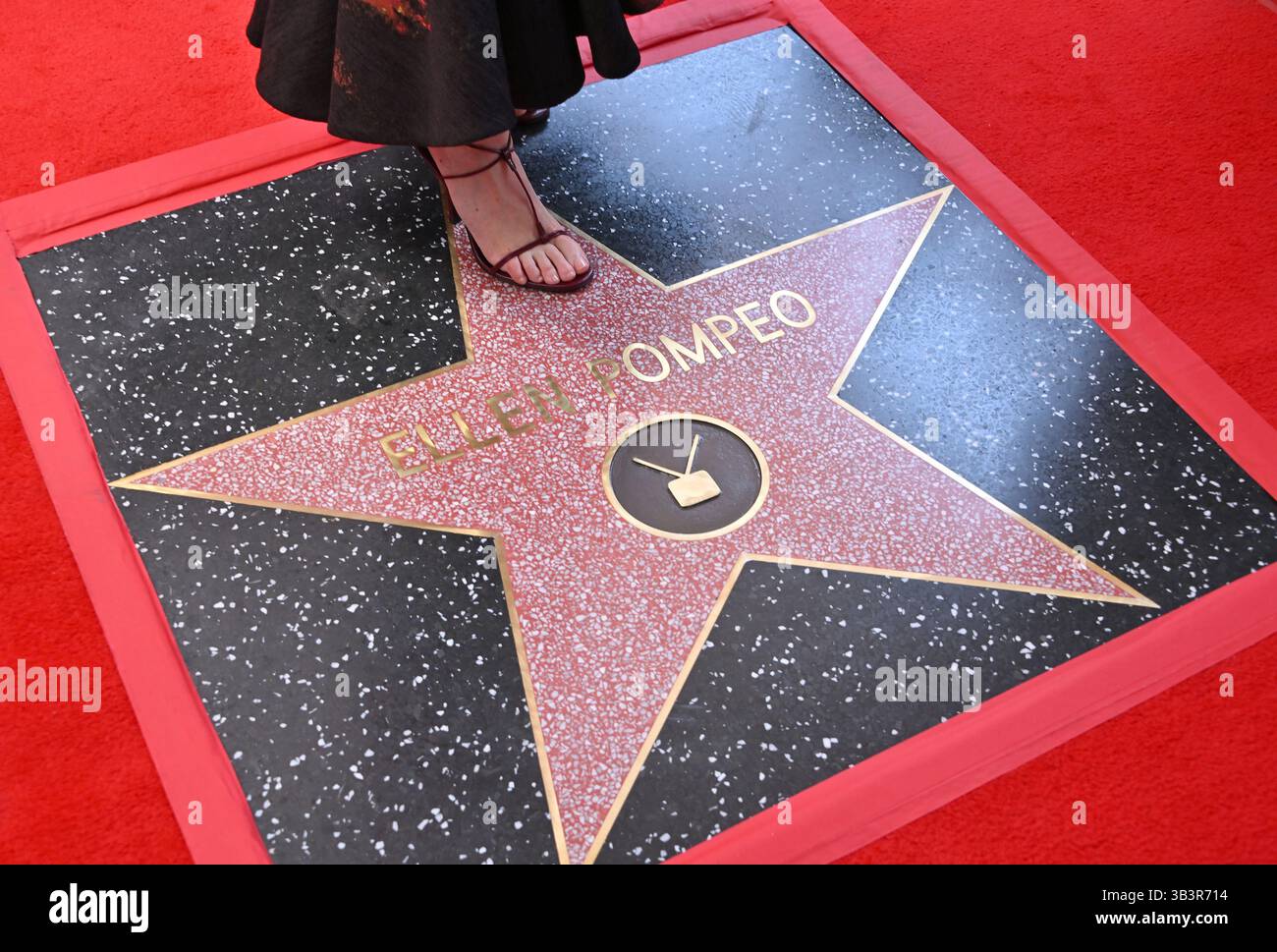 Ellen Pompeo's Star at her Hollywood Walk of Fame Star Ceremony in ...