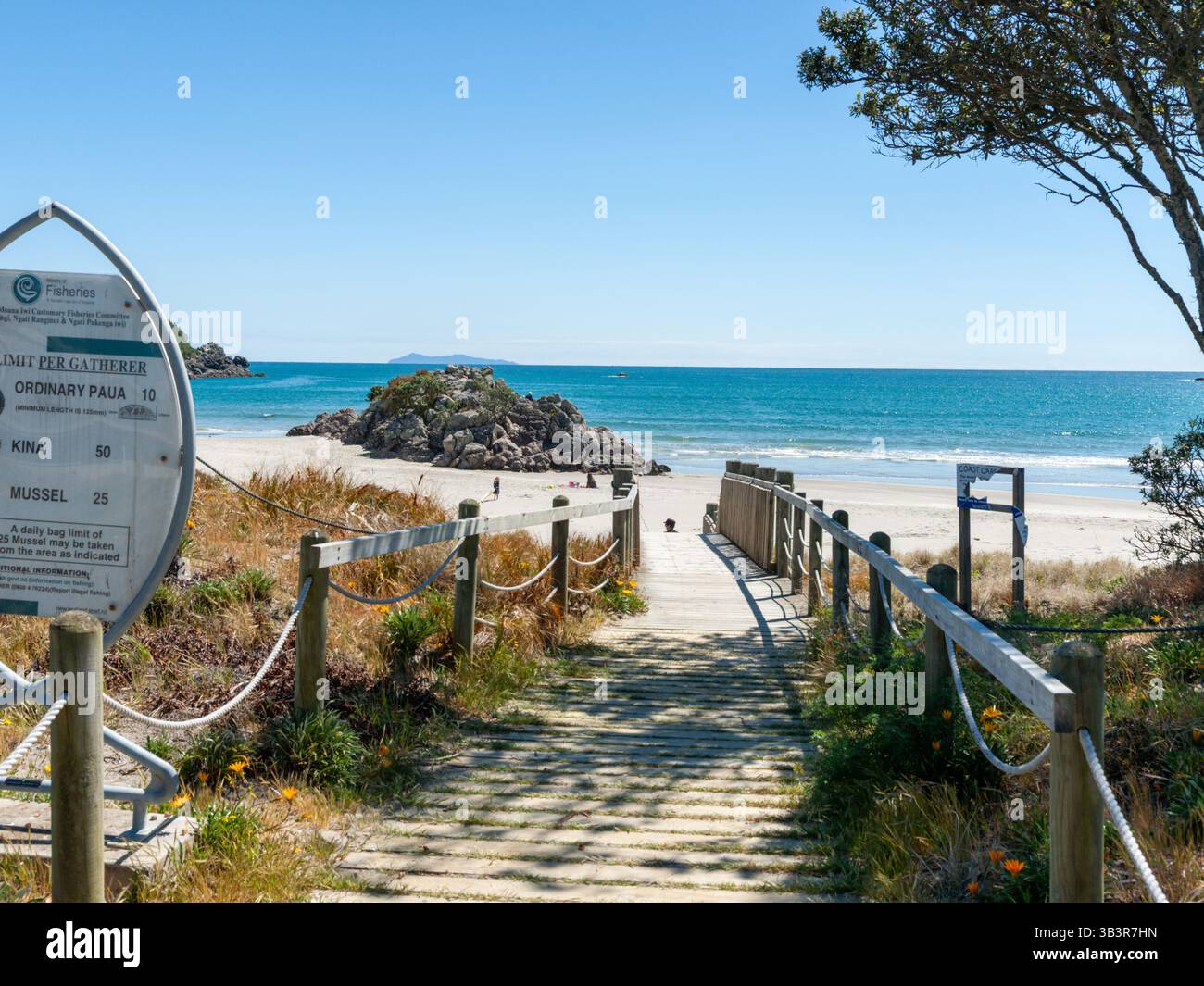 Walkway leading to Main Beach at Mount Maunganui with Mayor Island in ...
