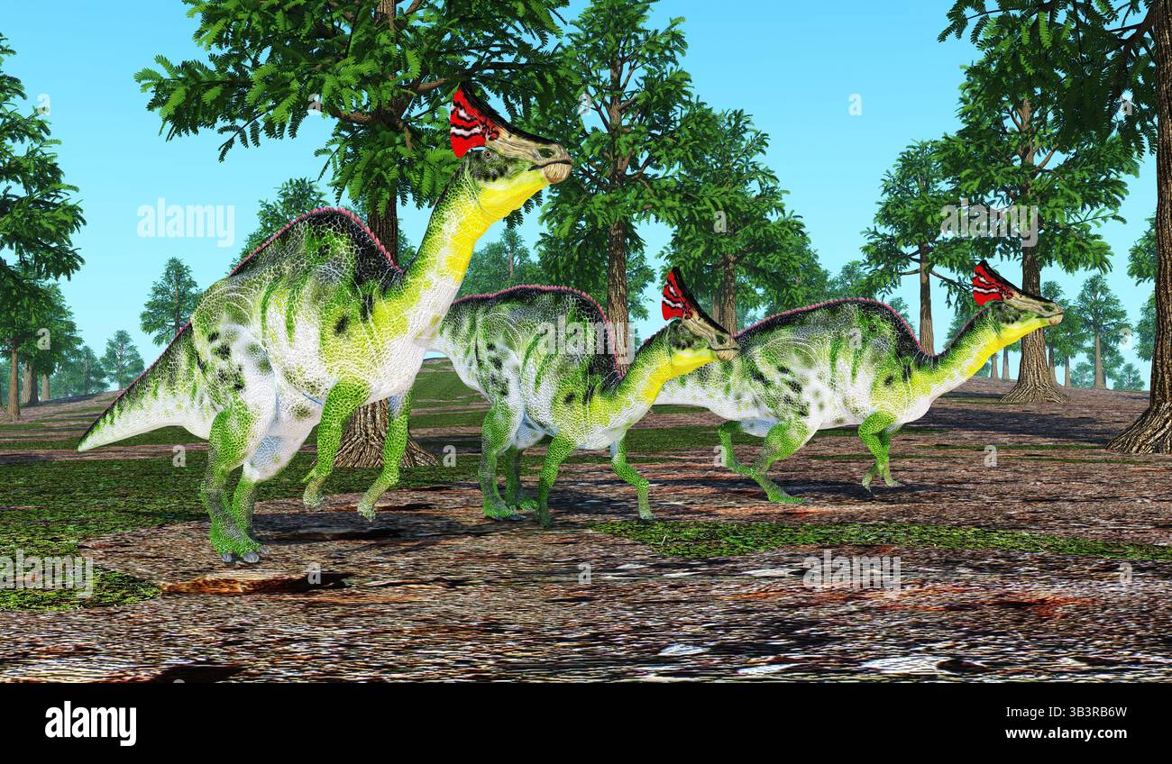 Olorotitan arharensis hi-res stock photography and images - Alamy