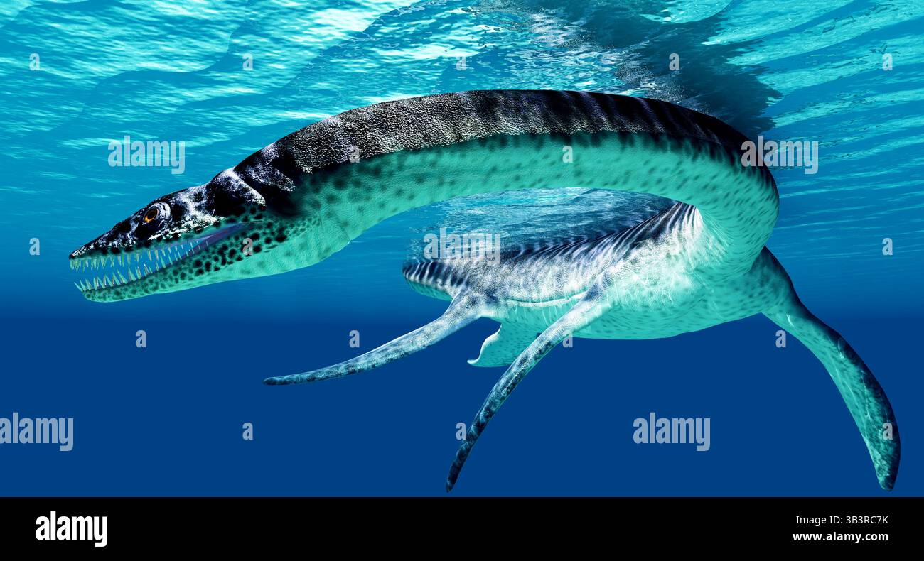 Plesiosaurus was a carnivorous marine reptile that lived in the seas ...