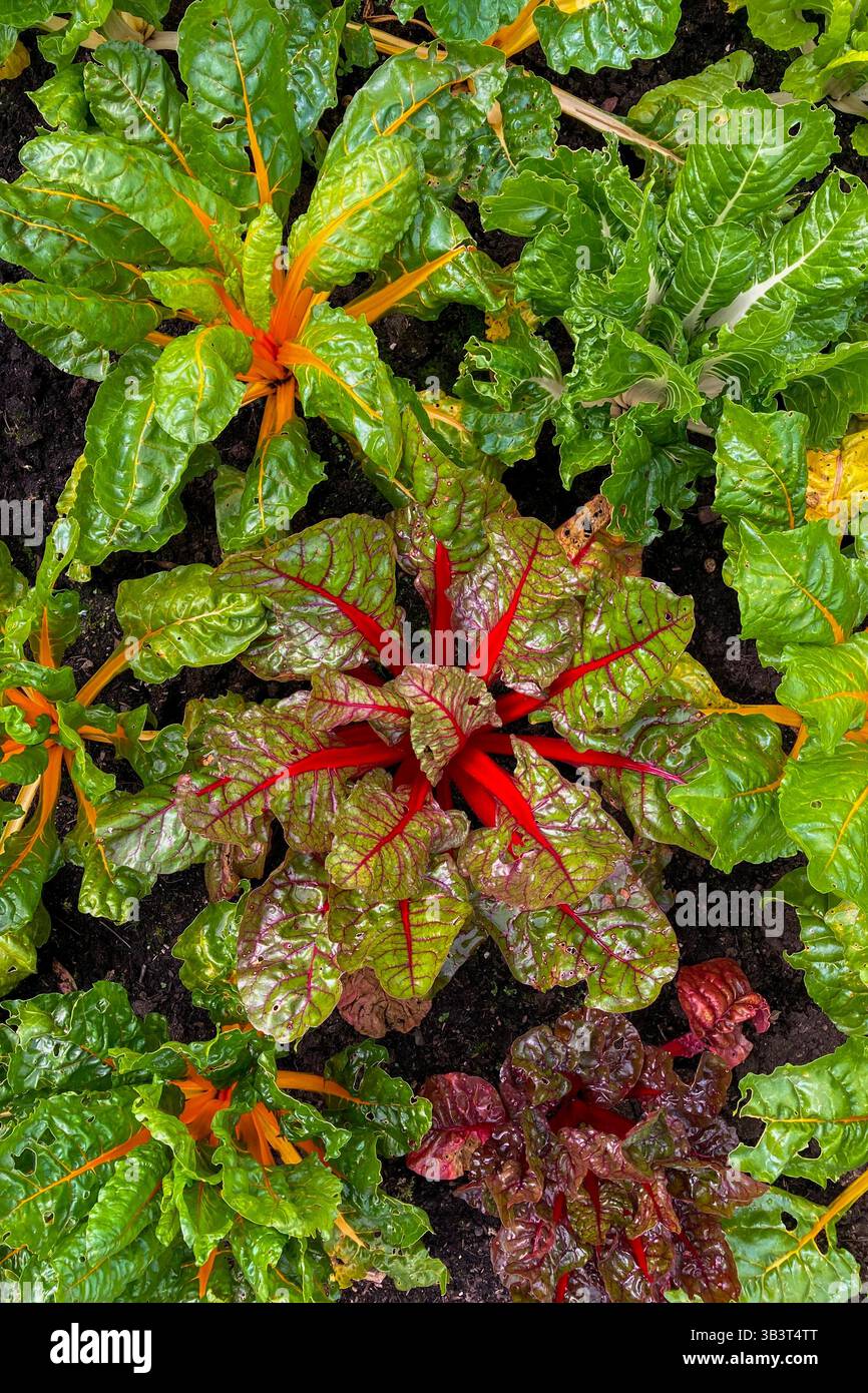 The Atlantic Botanic Garden offers amazing landscapes filled with lush ...