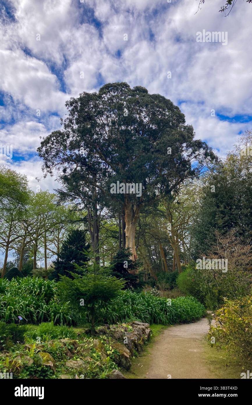 The Atlantic Botanic Garden offers amazing landscapes filled with lush ...